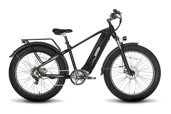 Dual Battery Long Range - Electric Bikes For All Terrain | HAOQI Ebike