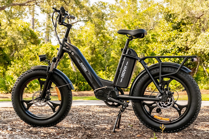 Antelope Cargo Electric Bike With Dual Battery - HAOQI EBIKE