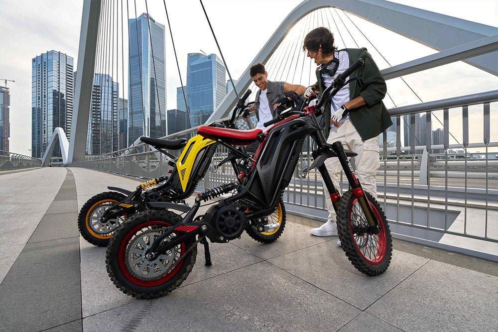 79 Bike-Viper S Electric Dirt Bike